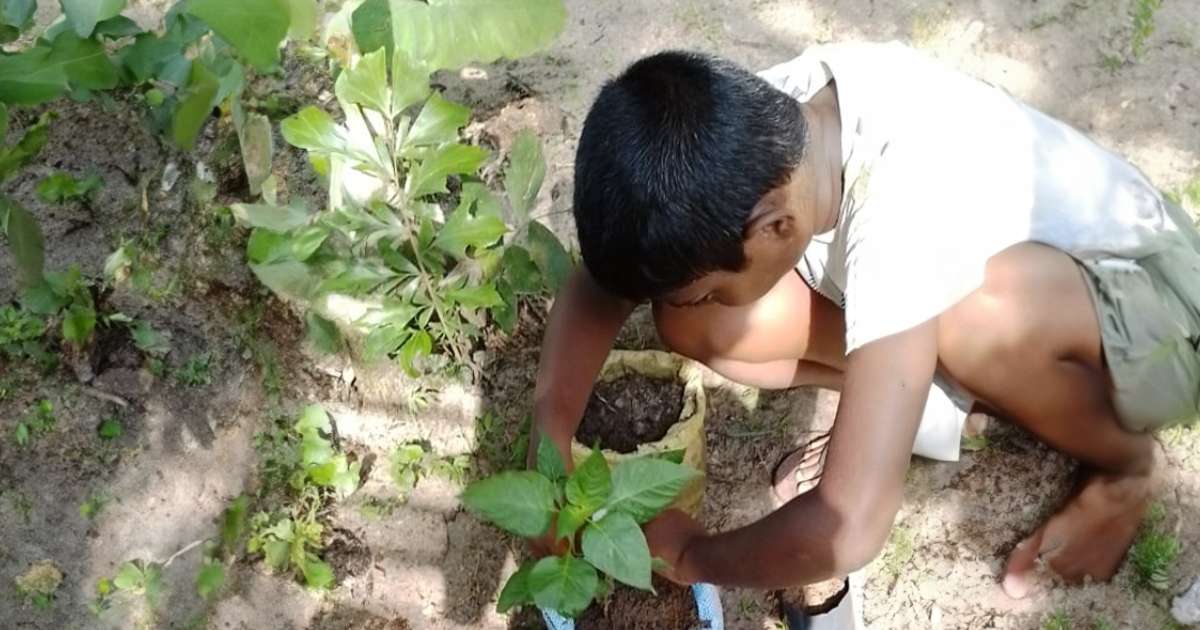 PGF | Seeds of Security